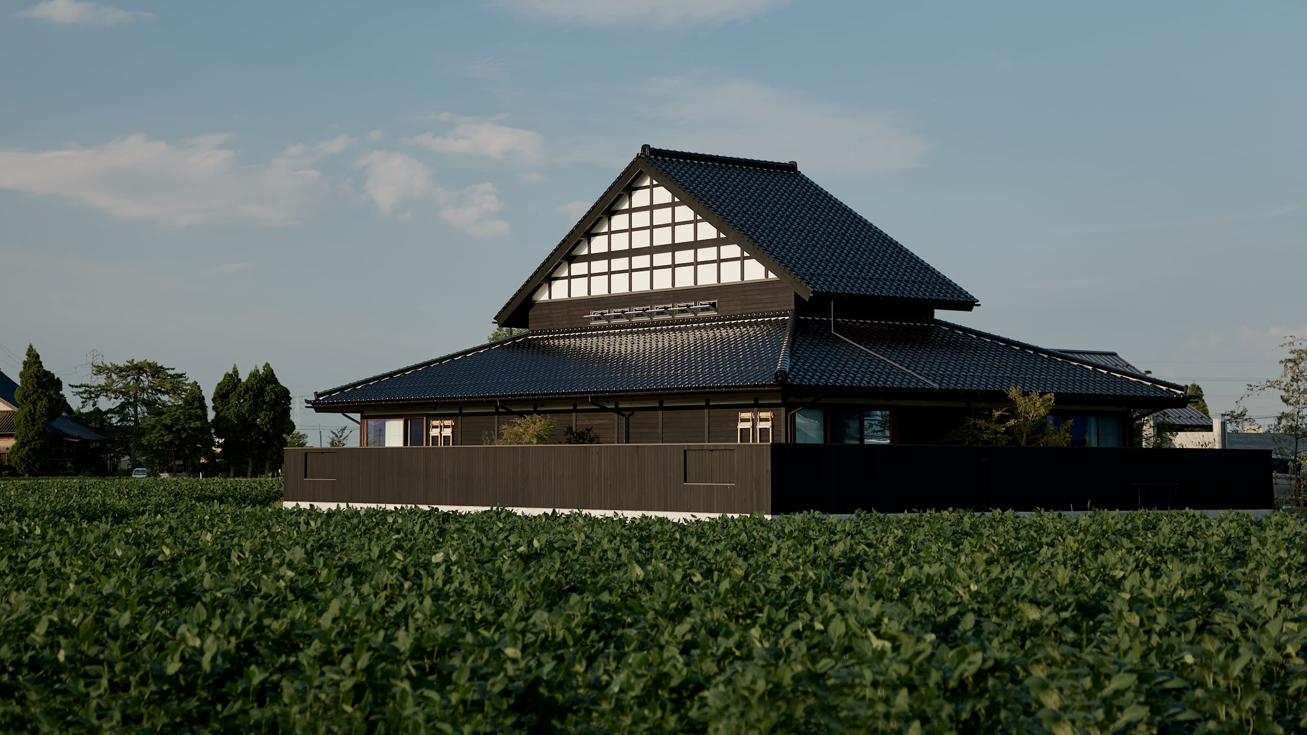 Rakudo-An